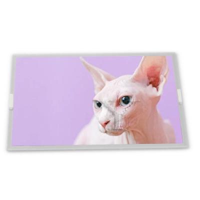 China High Resolution 8.4-Inch WLED stock Compatible LCD Display Module 800*600 ODM NL8060BC21-11 Modules for sale