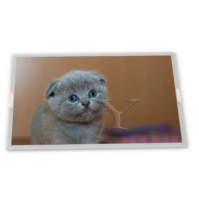 China High Quality New Compatible 7.0-Inch WLED LCD Display Module 800*480 High Resolution ODM TX18D210VM0BAA Modules for sale