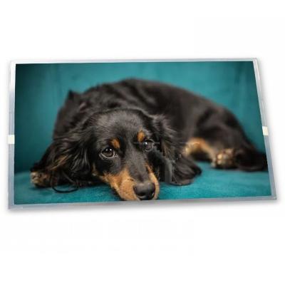 China Durable 640*480 ODM SP24V01L0ALZZ Aerospace Grade High-Resolution 9.4-Inch LCD Display Module with WLED 640x480 Resolution for sale