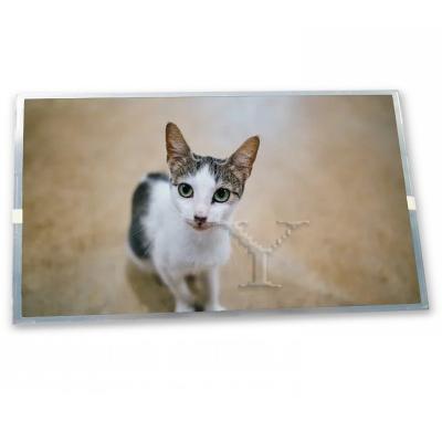 China High Resolution 8.4-Inch stock Compatible WLED LCD Display Module 800*600 ODM TCG084SVLQAPFA-AA20 Premium Quality Various for sale