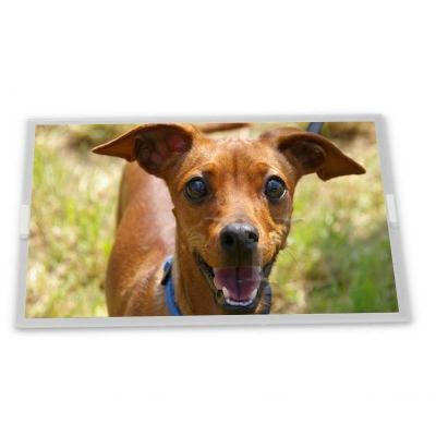 China New Compatible 8.4-Inch WLED WLED LCD Display Module with 640*480 Resolution ODM NL6448BC26-27D Modules for sale