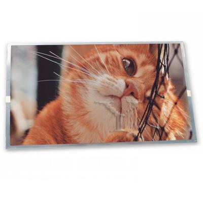 China High Resolution 10.0-Inch stock Compatible WLED LCD Display Module 800*600 ODM LM100SS1T522 Modules for sale