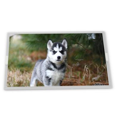 China B070EAN02.0 CELL 7.0 Inch TFT Industrial LCD Panels 800*1280 Resolution Quality Supplier with Complete Range Industrial Screens for sale