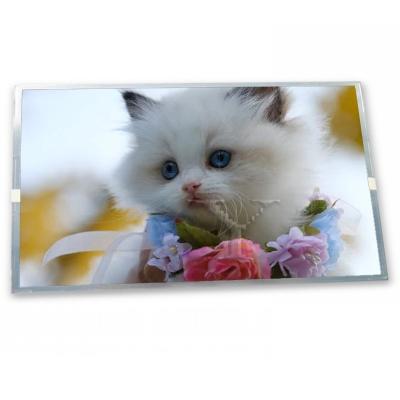 China 800(RGB)*600 8 Inch A-Si TFT-LCD Complete Range of Industrial Screens TM080SDH02-41 Lcd Screen Quality Suppliers for sale