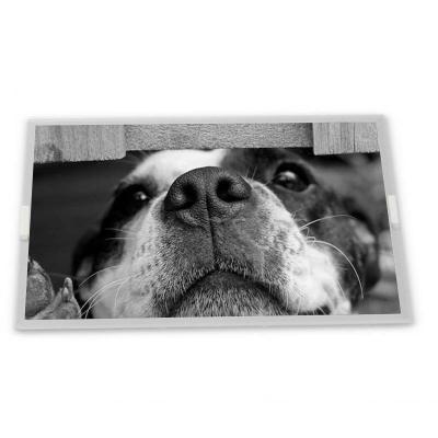 China 6.5'' / Lcd Paneel LQ065T5BR07 Tft Lcd Scherm Te koop
