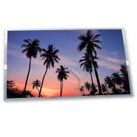 China 5.0 Inch WLED High Resolution LCD Display Module 800x480 ODM TX13D06VM2BAA for sale