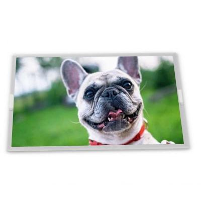 China High Resolution 7.0-Inch A070VW08 V2 TFT LCD Panel 800*480 Touchscreen LCD Module for sale