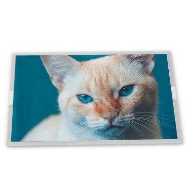 China A035QN01 V9 3.5 inch 320*240 Automotive Display lcd display cheap price lcd screen TFT Complete range of industrial screens for sale