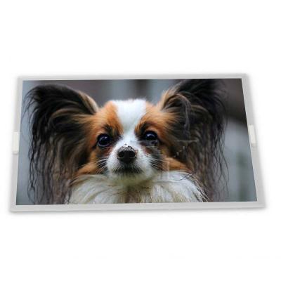 China Online One-stop Shopping NL4864HC13-01A Lcd Panel 4.2 Inch 480*640 Lcd Display Module for sale