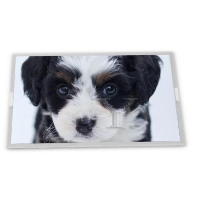 China High Quality Original 15.6 Inch NL13676BC25-07F TFT LCD Screen 1366*768 Resolution for sale