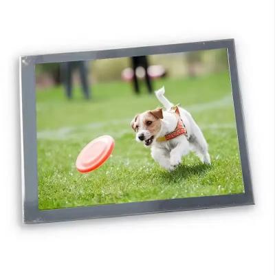 China TCG101WXLPAANN-AN20 10.1 Inch 1280*800 IPS LCD Monitor for Industrial LCD Display for sale