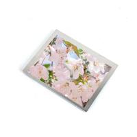 China 2.2 Inch WLED TFT LCD Display Module 240x320 Resolution for Industrial Automation for sale