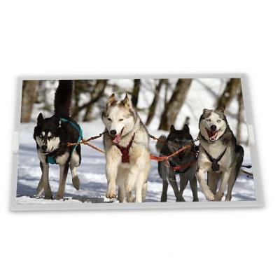 China 10.1-Inch CLAA101ND06CW WLED TFT-LCD Screen Panel with 1024*600 Resolution and 60-Pins LCD Modules Product for sale