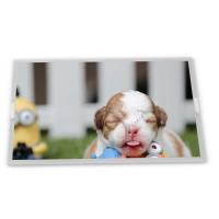 China LB080WV5-TA01 8 Inch TFT LCD Display Module Touch Screen Panel Rectangular Industrial Display for sale