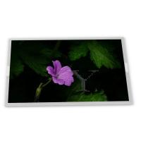 China AV080WSM-NW1 8 inch TFT LCD Display Module 800x480 Industrial Rectangular Screen for sale
