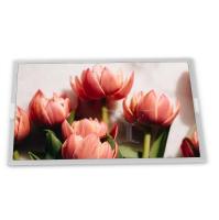 China TX20D17VM2BBA 8 inch TFT LCD Display Module Industrial Rectangular Screen High Quality for sale