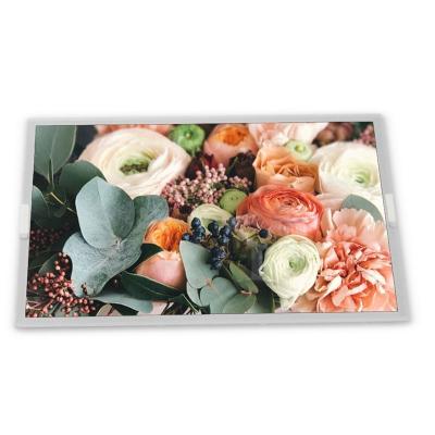 Cina BV050FWE-T80 Moduli display LCD TFT da 5 pollici originali, schermo rettangolare altamente adattabile, in stock, fornitore di qualità, buon prezzo in vendita