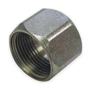 China BSP BSPT Cap Nut Hydraulic Adaptor Fittings Color Zinc Plating for sale