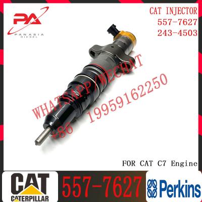 Chine Injecteur de carburant diesel 557-7627 20R-8071 295-9166 20R-8067 20R-8057 387-9429 20R-8056 Pour moteur C-a-t C7 à vendre