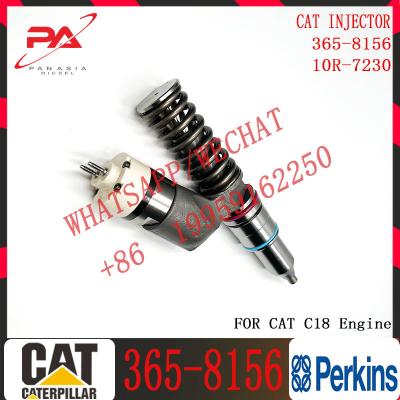 Chine Injecteur commun rail 10R-9787 365-8156 253-0616 291-5911 10R-9787 211-3026 276-8307 10R-0724 pour le moteur Caterpillar C18 à vendre