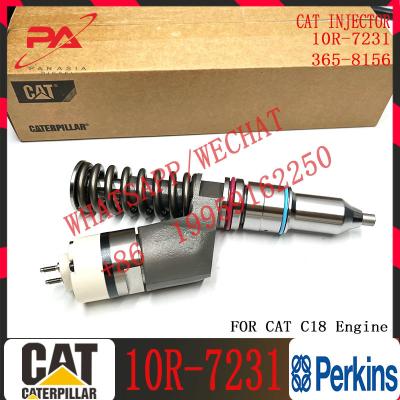 Chine Injecteur commun 276-8307 10R-7231 253-0597 20R-8048 211-3025 10R-0955 365-8156 Pour le moteur Caterpillar C18 à vendre