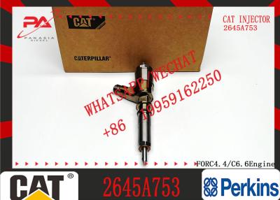 Chine L'injecteur de rail commun Assy 2645A753 2645A746 2645A749 2645A747 10R-7671 10R-7672 2645A718 10R-7673 10R-7676 à vendre