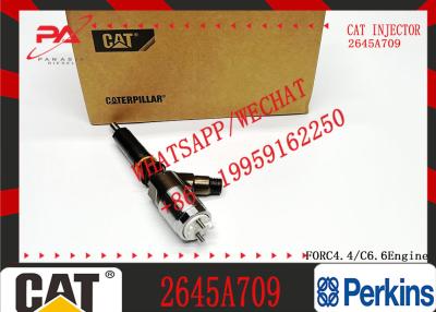 Chine CAT Injecteur de carburant pour moteur diesel 321-3600 320-0677 320-0690 320-0680 2645A709 2645A753 2645A746 2645A749 à vendre