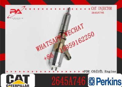 Chine C4.4 Injecteur de carburant pour moteur diesel 320-0677 2645A746 10R7671 Pour le moteur C-AT 320D 323D C6.6 à vendre