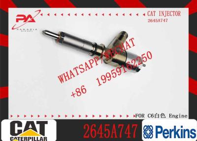 Cina Iniezione Common Rail 320D 2645A747 320-0680 per motore Caterpillar Perkins in vendita