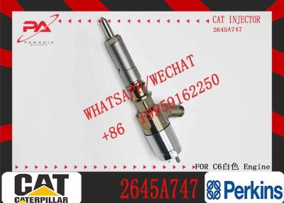 Cina Iniezione Common Rail 320D 2645A747 320-0680 per motore Caterpillar Perkins in vendita
