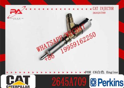 Cina Iniezione di escavatore 2645A705 2645A709 2645A731 per motori diesel C4 C6 in vendita