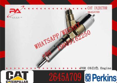 Cina Iniezione di escavatore 2645A705 2645A709 2645A731 per motori diesel C4 C6 in vendita