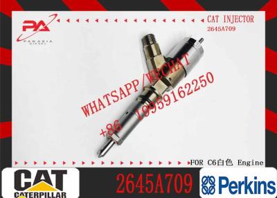 Cina Iniezione di escavatore 2645A705 2645A709 2645A731 per motori diesel C4 C6 in vendita