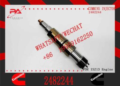 China fuel injector 2482244 sales promotion for sale