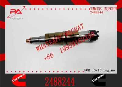 China fuel injector 2482244  2036181 sales promotion for sale