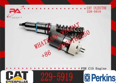 Chine Injecteur de carburant commun 229-5919 10R-1000 pour moteur diesel Caterpillar CAT C-15 à vendre