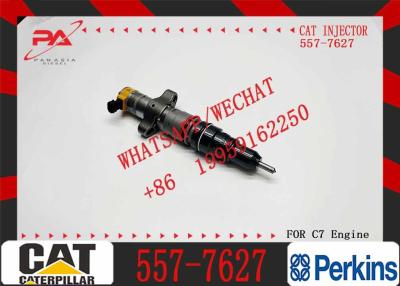 Chine Parties de pelles c7 Injecteur de moteur 241-3239 238-8091 10R-7225 20R-8066 557-7627 20R-9079 Injecteur de carburant Pour pelles à vendre