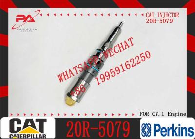 Chine Parties de pelles c7 Injecteur de moteur 241-3239 238-8091 10R-7225 20R-8066 557-7627 20R-9079 Injecteur de carburant Pour pelles à vendre