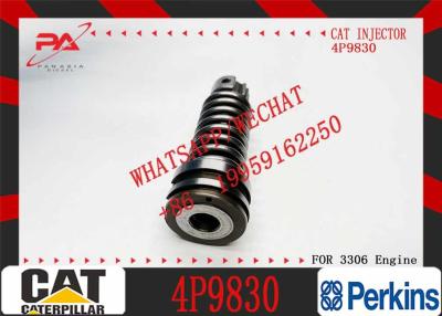 Chine Piston de pompe à injection diesel 6N7828 4P9830 1P6400 6N7525 pour le moteur 3306 Excavator 3304 3304B 3306 3306B à vendre