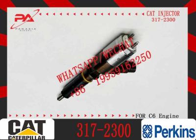 Cina Iniezione Common Rail Premium 2959130 295-9130 3172300 317-2300 Iniezione Parti di escavatore per escavatore motore diesel in vendita