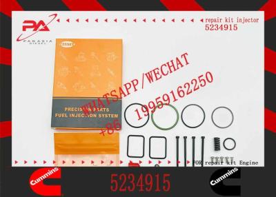 China High Quality Unit Injector Assembly R-5234915 For Detroit Series for sale