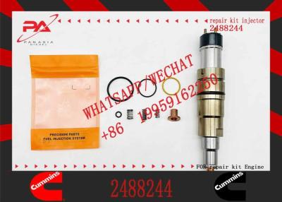 China Common RailDiesel Injector 2488244 Engine DC09/DC13/DC16 for Scania for sale