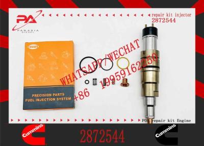 China Common rail injector XPI ISX15 2438101 Diesel Fuel Iniector 5579421 2872544 2897320 injector for Scania DC09/DC13/DC16 Engines for sale
