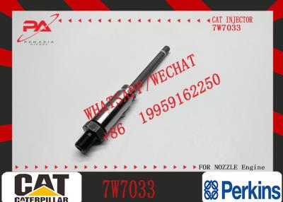 Cina Iniezione di carburante 7W7031 7W-7031 Nuovo iniettore di carburante 7W7031 per motore CAT 3406C in vendita