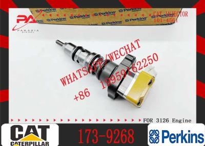 China Cat Motor Parts 3126 Cat Injectors 173-9268 138-8756 198-7912 155-1819 232-1168 232-8756 para a Caterpillar Cat 3126 Injector à venda