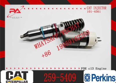China Inyector de combustible del motor C13 de fábrica 294-3002 10R-6162 253-0608 259-5409 inyector de Caterpillar C13 en venta