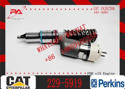 China Las piezas de excavadoras de alta calidad 229-5919 inyector de combustible 229-5919 10R-1000 10R-1000 encaja CAT C18 C15 C12 C13 serie 3406E en venta