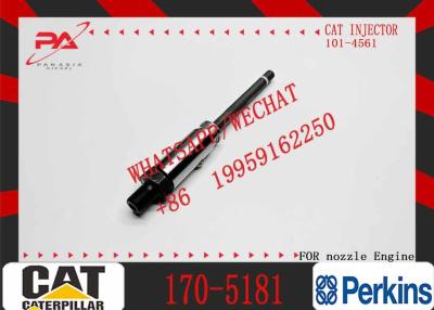 중국 Caterpillar 엔진 주입기 제조자 직판 170-5181 0R-3424 0R-8785 0R-3423 0R-3422 0R-3420 주입기 판매용