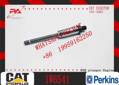 China diesel Engine element 1W6541 Fuel Pump Plunger 1W6541 Injector Pump element 1W6541 for CAT EXTRACTOR for sale