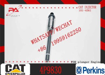 중국 건설 기계 부품 연료 주입 펌프 플랑저 4P9830 1W6541 7W5929 Caterpillar Cat 엔진 3304 3306 플랑저 판매용